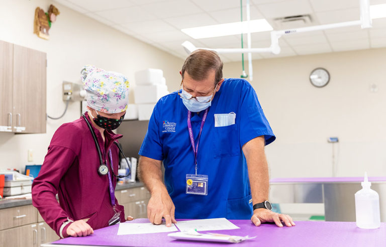 ACC Veterinary Technician program receives full accreditation | ACC ...