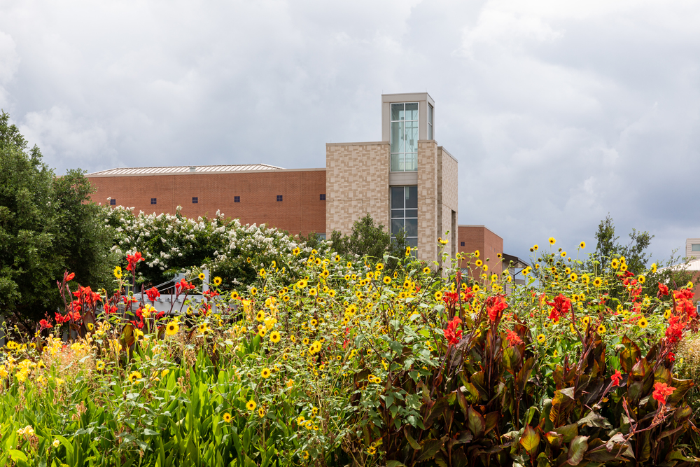 2020 Census data – The next generation of ACC’s service area | ACC ...